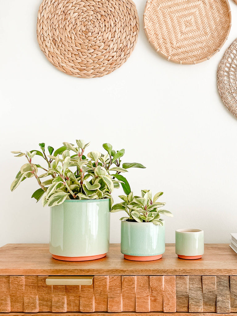 New Arrivals – Hycroft Home Decor